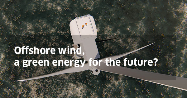 Offshore wind, a green energy for the future