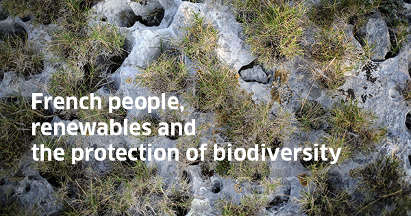 French people, renewables and the protection of biodiversity