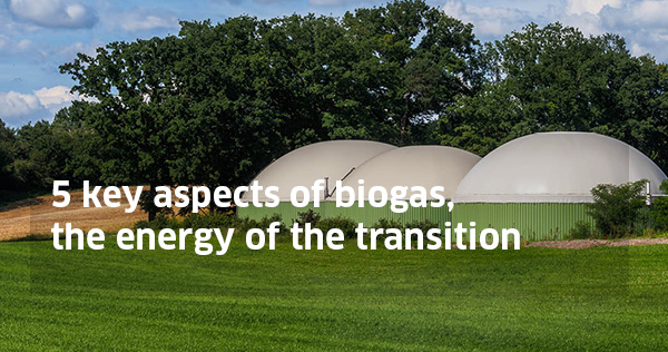 5 key aspects of biogas, the energy of the transition