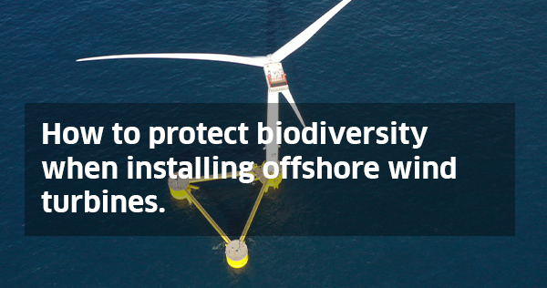 Offshore wind power, a wave of carbon-free energy