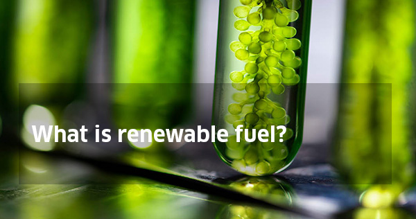 What is renewable fuel?