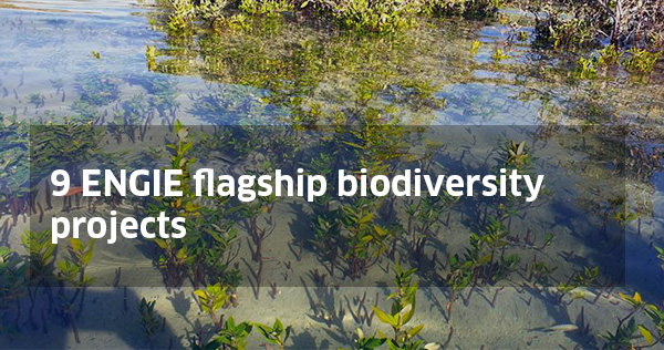 9 ENGIE flagship biodiversity projects