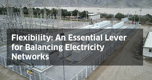 Flexibility: Lever for Balancing Electricity Networks